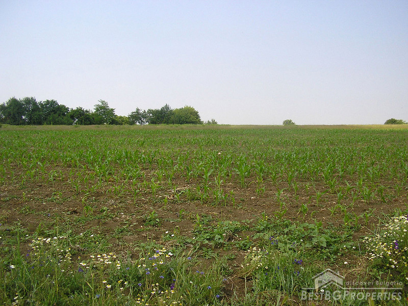 Agricultural plot of land for sale near Varna