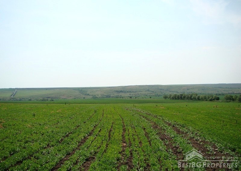 Large development land for sale near Bourgas