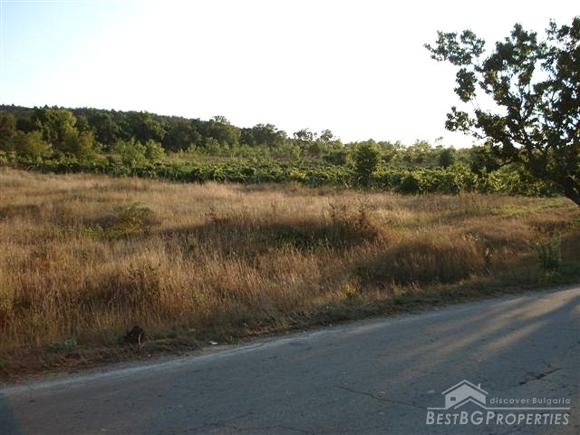 A Big Plot Of Land Near Sea