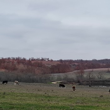 Agricultural land for sale in bulgaria, farm land in bulgaria